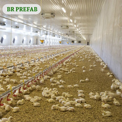 Poultry Shed, Lightweight Steel Frame